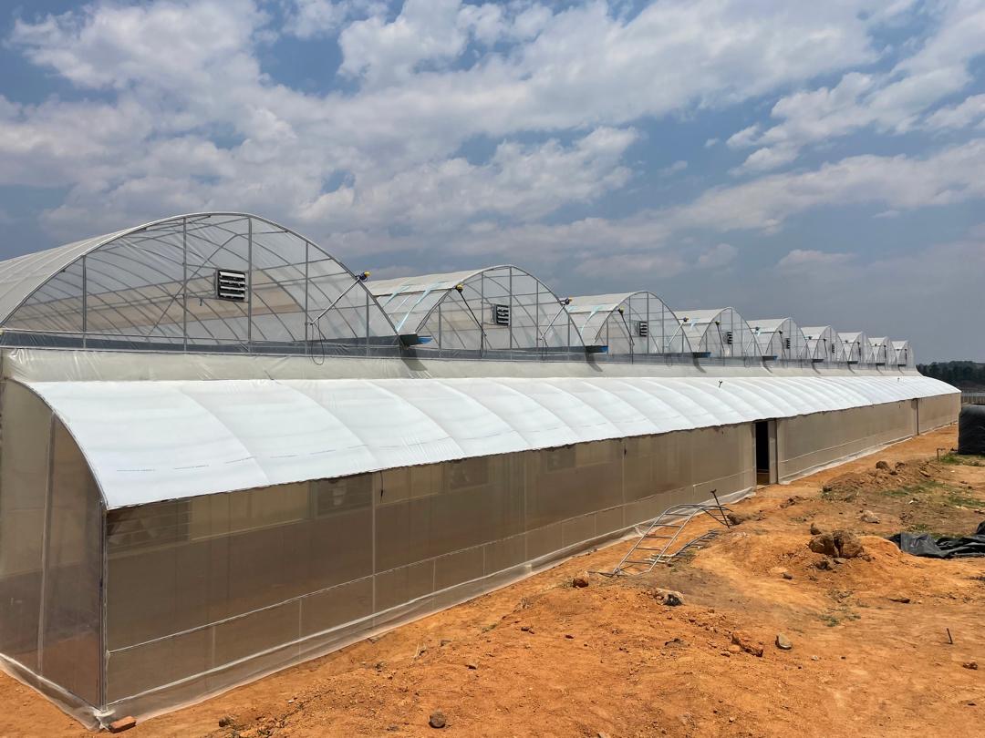 GreenCon - Quality Greenhouse & Agricultural Solutions | Since 1991